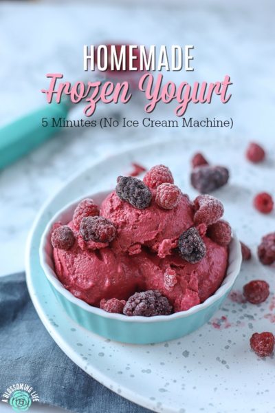 Homemade Frozen Yogurt - 5 Minutes (No Ice Cream Machine) - A ...