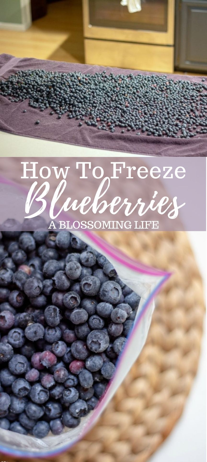 How To Freeze Blueberries- The Easiest Way Ever - A Blossoming Life