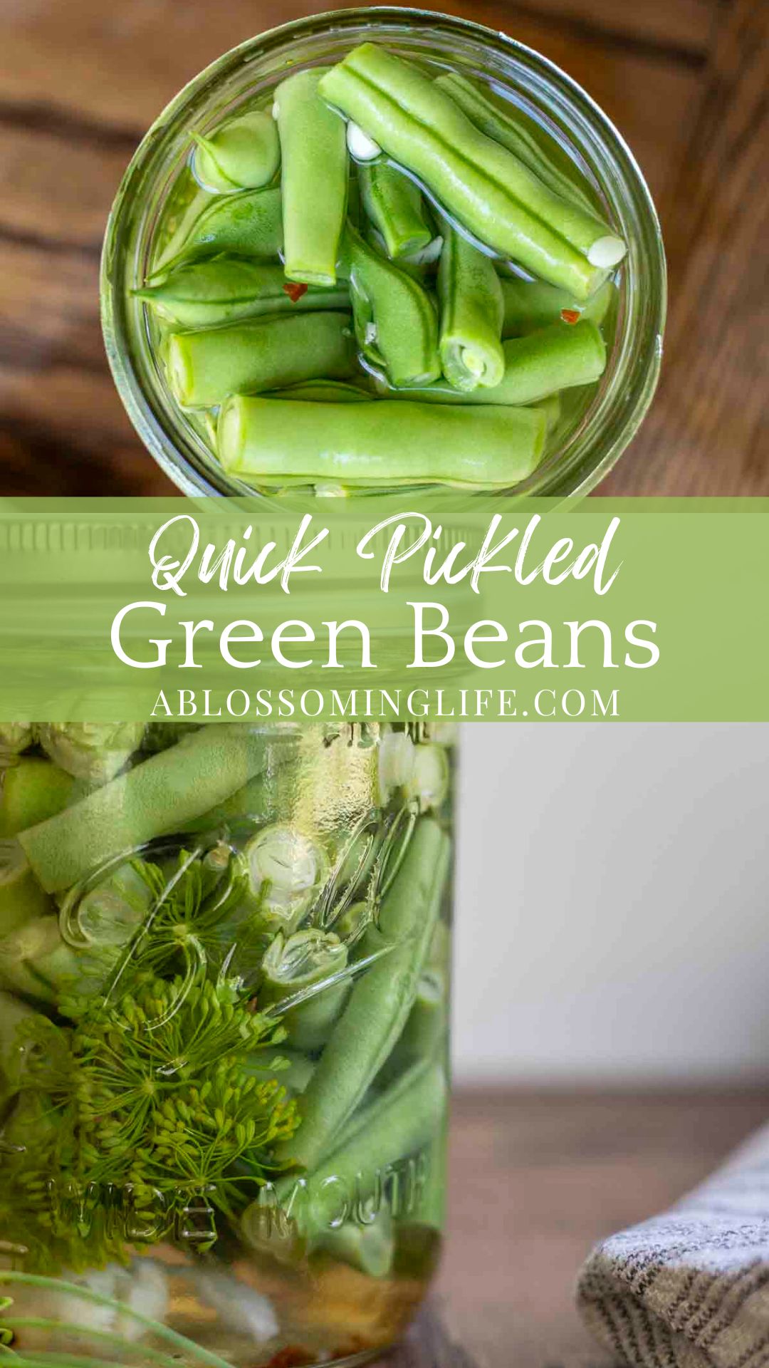 Quick Pickled Green Beans - A Blossoming Life