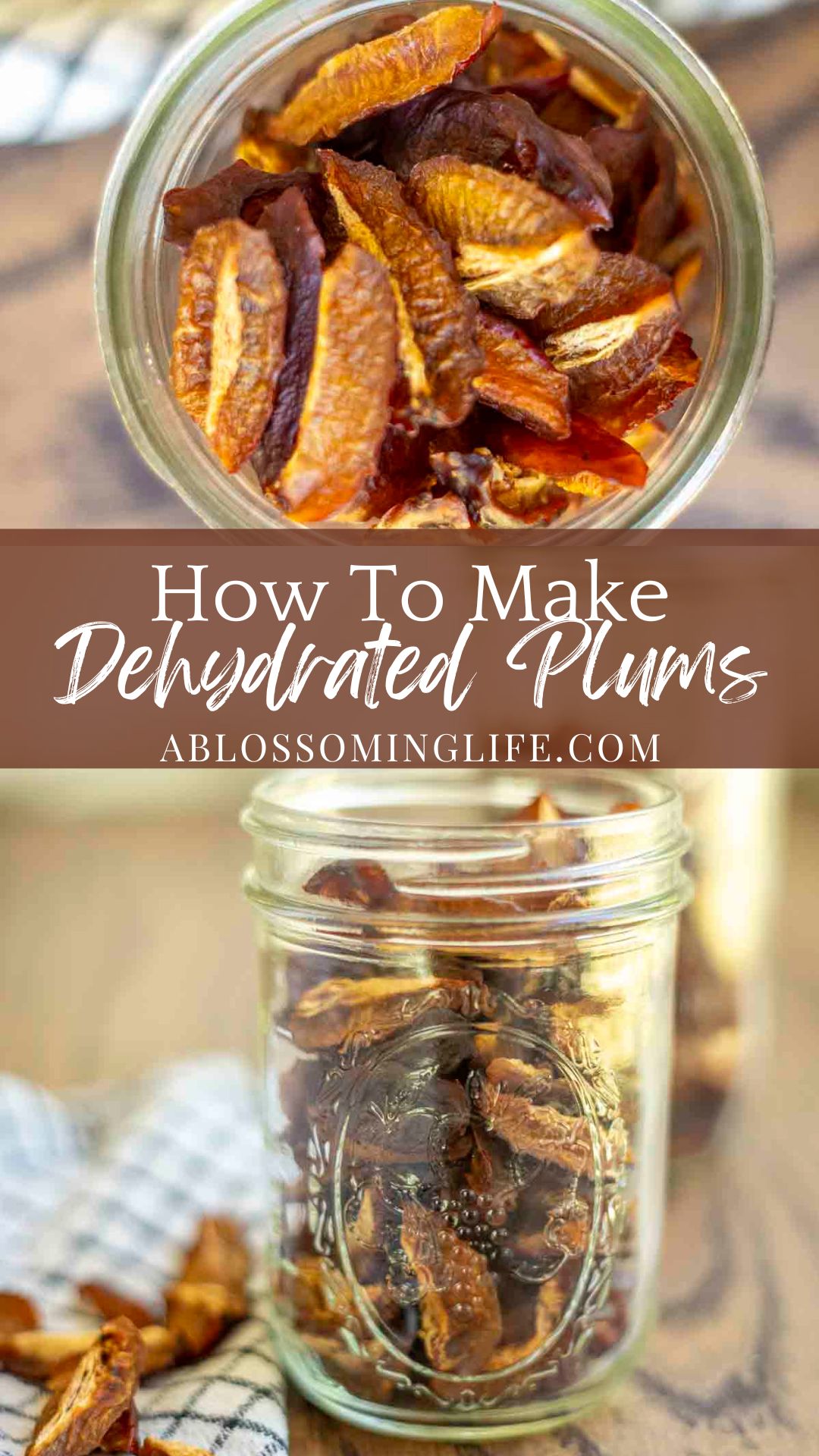 How To Dry Plums - A Blossoming Life