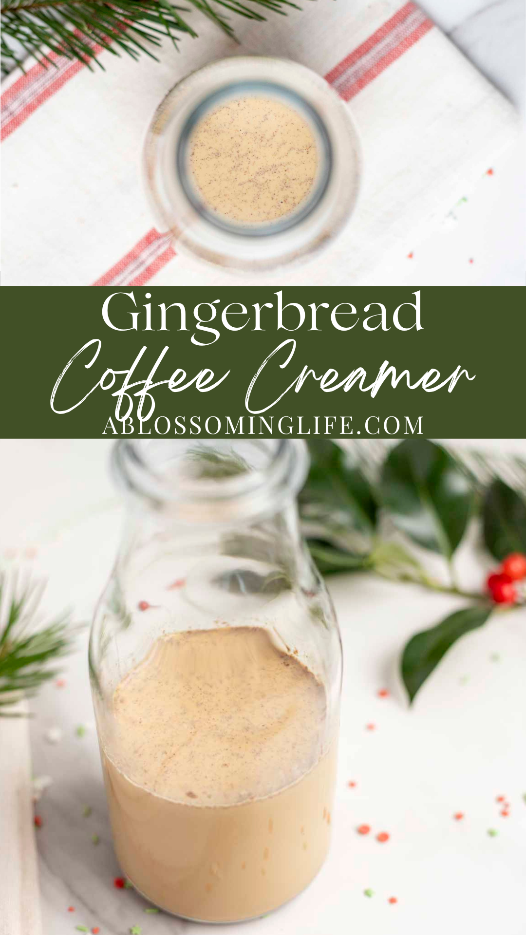 Homemade Gingerbread Coffee Creamer Recipe - A Blossoming Life