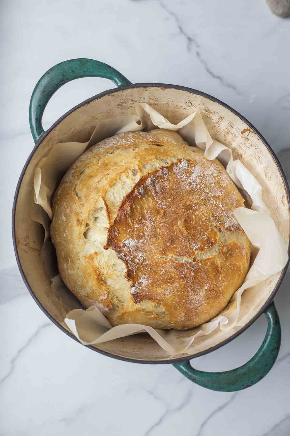 Easy No-Knead Sourdough Bread For Beginners - A Blossoming Life
